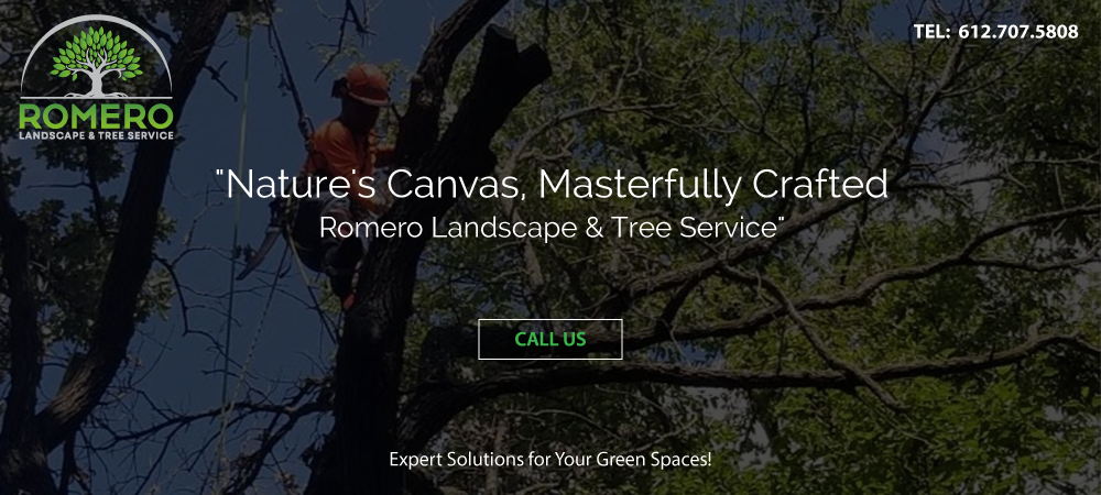 "Transform Your Outdoors: Romero Landscape & Tree Service - Expert Solutions for Your Green Spaces"
